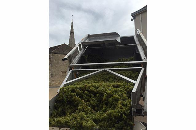 Domaine Xavier Monnot | Winebow