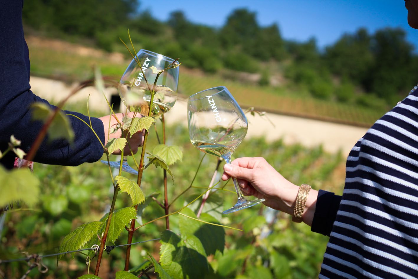 Maison Chanzy | Winebow