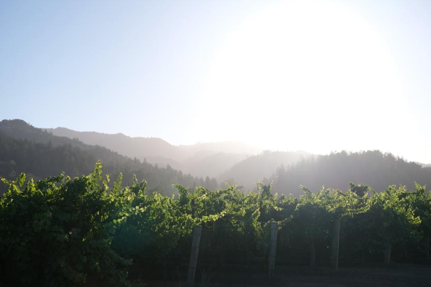 Winebow Imports | Winebow