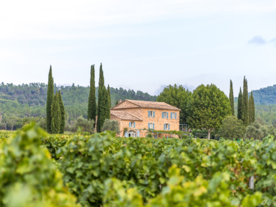 Maison Mirabeau Rosé For Any And All Days Winebow