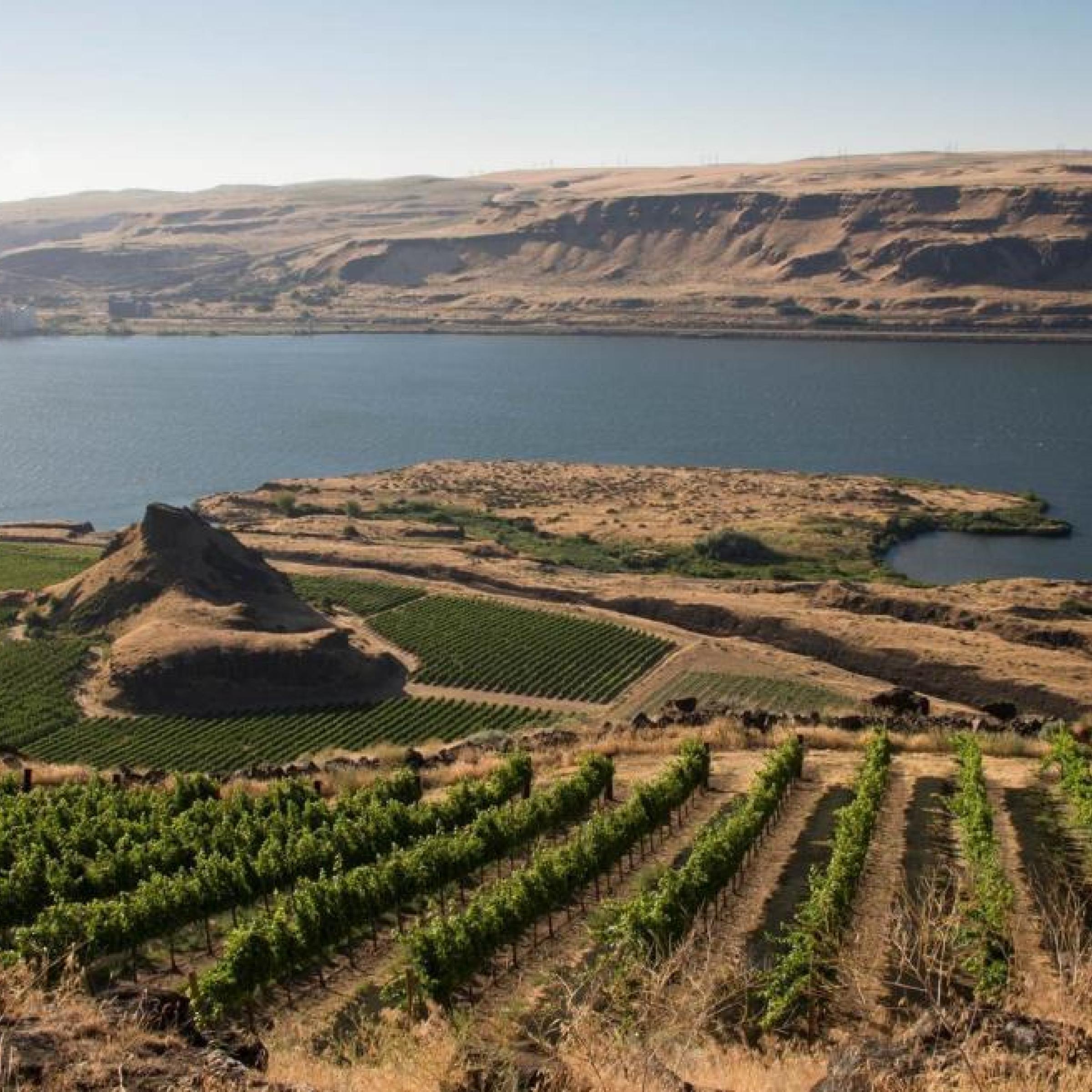 Wholesale Homepage | Winebow