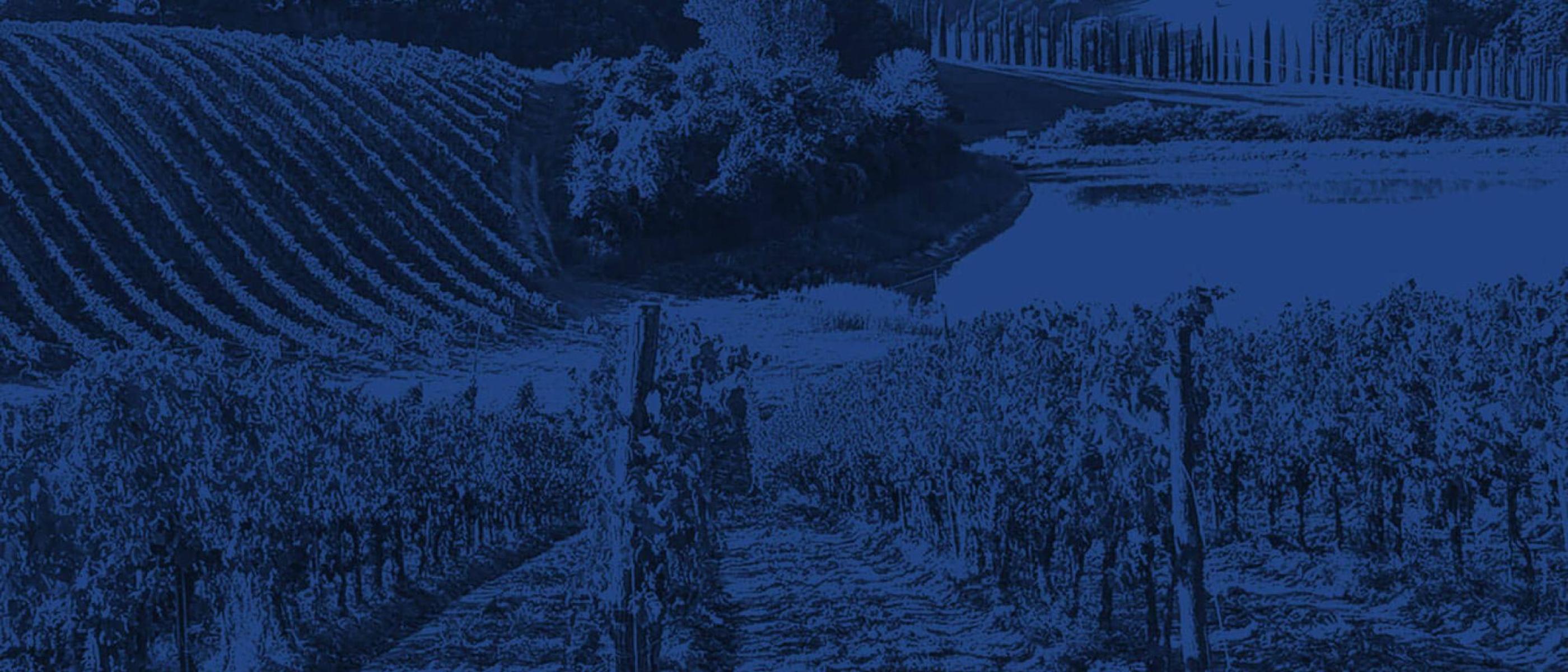 Winebow | Fine Wines + Spirits
