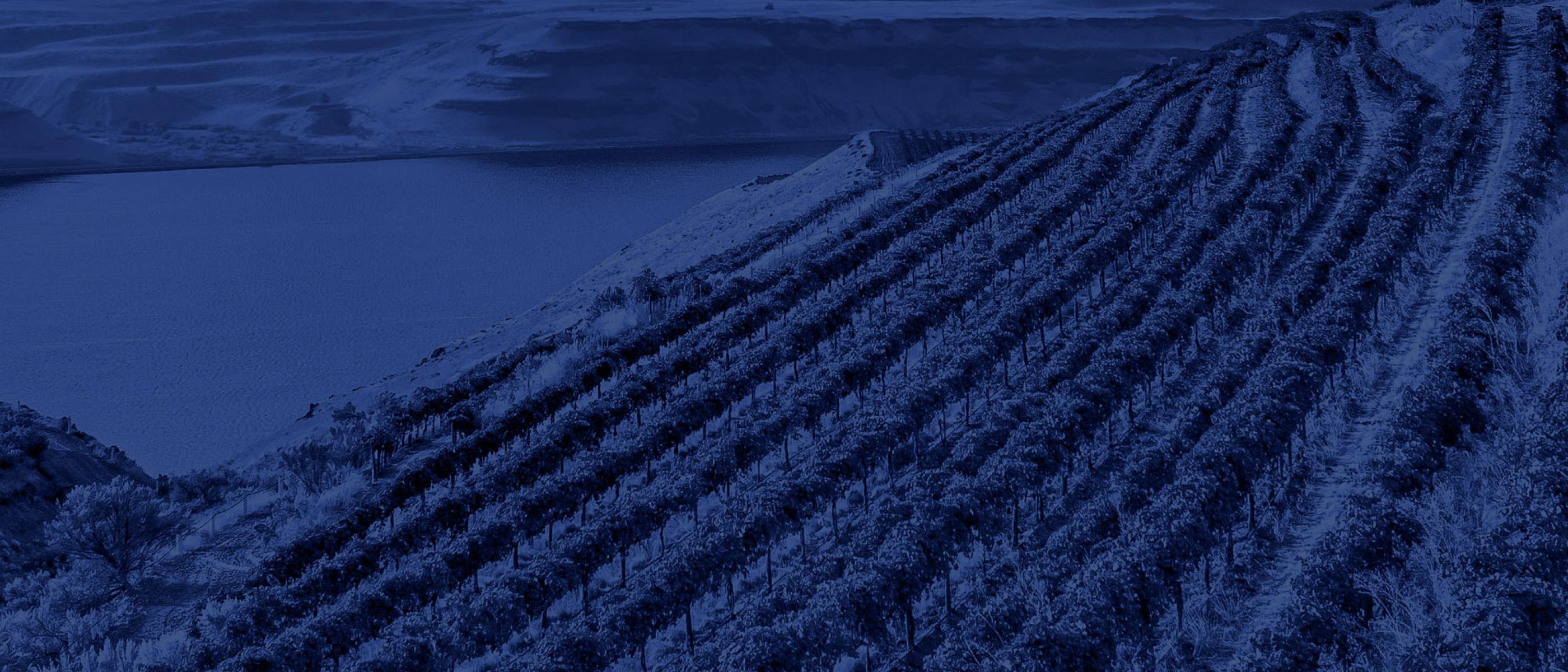 Versapay: Winebow's New Payment Platform | Winebow