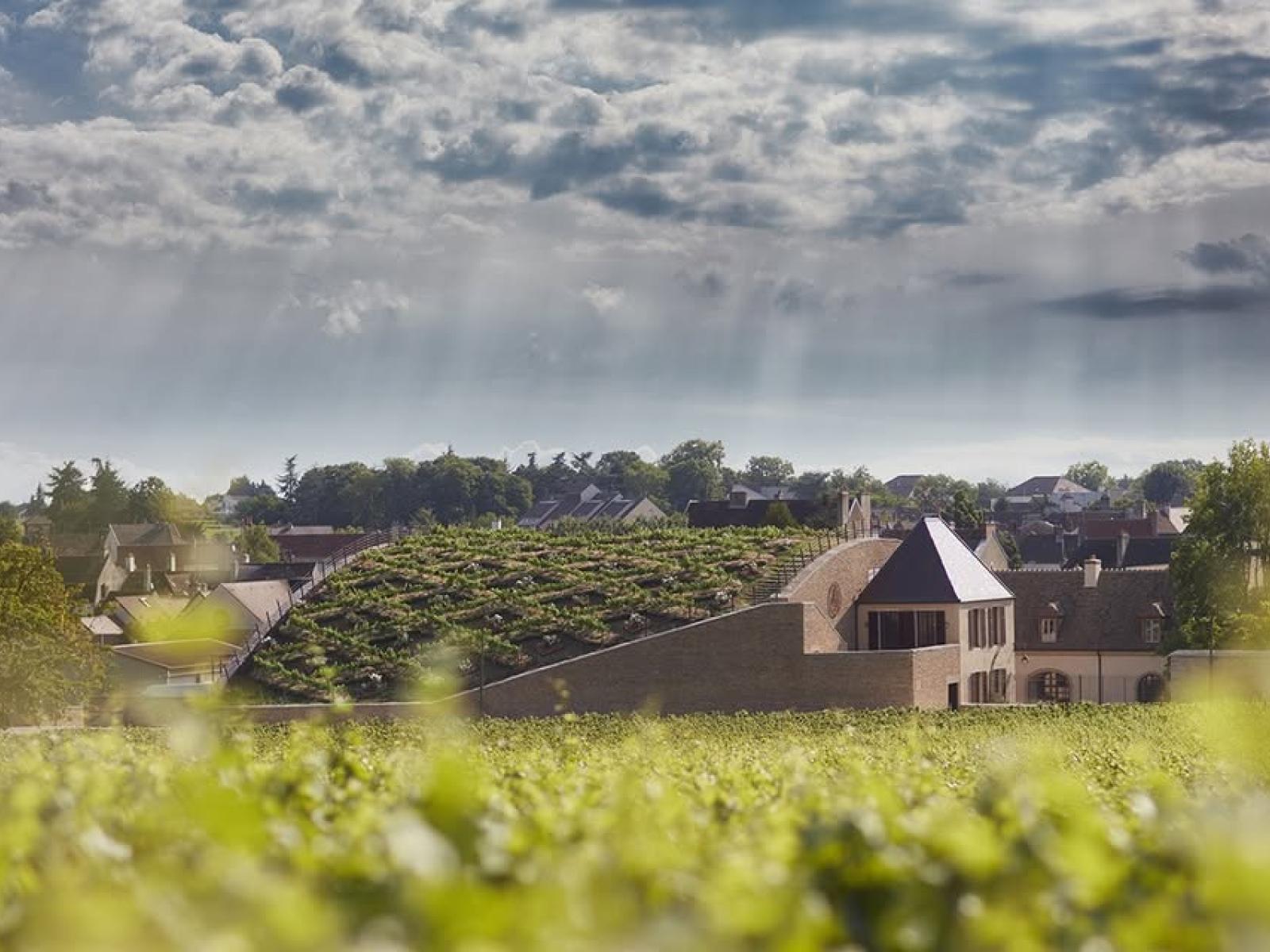 Winebow | Fine Wines + Spirits