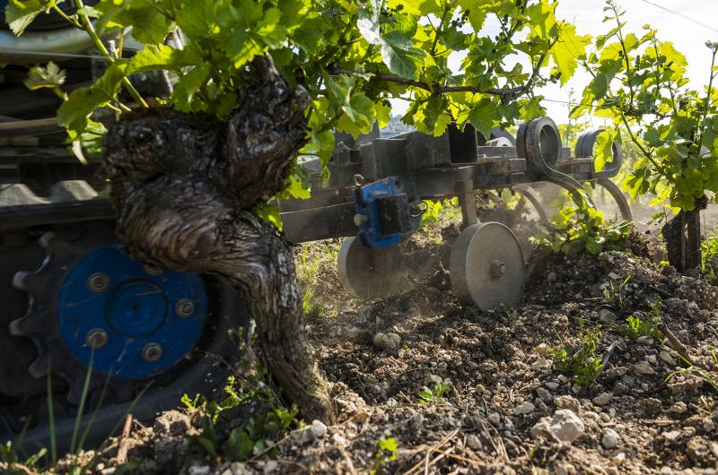 Domaine Fouassier | Winebow