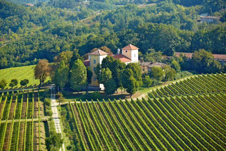 La Toledana | Winebow